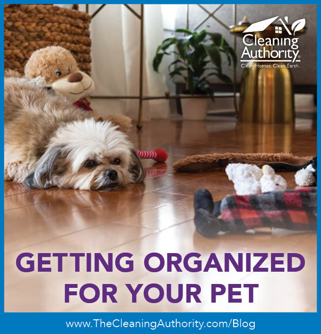 Getting Organized for Your Pet